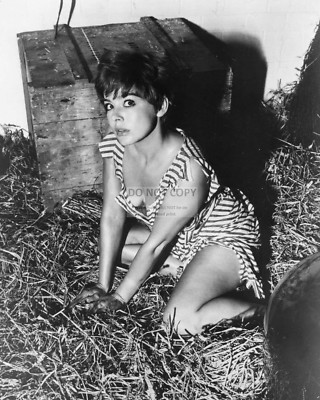 JANET MUNRO IN "THE DAY THE EARTH CAUGHT FIRE" - 8X10 PUBLICITY PHOTO ...