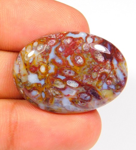 36.CT 100% Naturel Rouge Palmier Racine Agate Ovale Cabochon Fossilisé ...