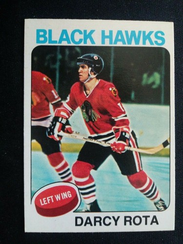 1975-76 O-Pee-Chee Hockey Card # 66 Darcy Rota - Chicago Black Hawks | eBay