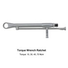 Implant Screwdriver Hex 1.2 Driver Dental Torque Wrench Adapter Megagen ...