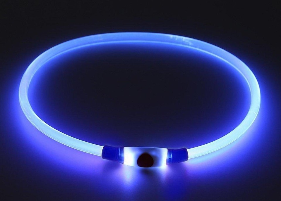 RECHARGEABLE LED Light-up Flash GLOW COLLAR Dog Pet Safety MICRO USB ...