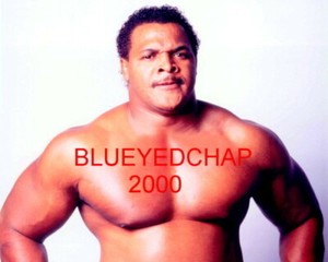 BUTCH REED WRESTLER 8 X 10 WRESTLING PHOTO WWF WCW | eBay