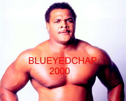 BUTCH REED WRESTLER 8 X 10 WRESTLING PHOTO WWF WCW | eBay