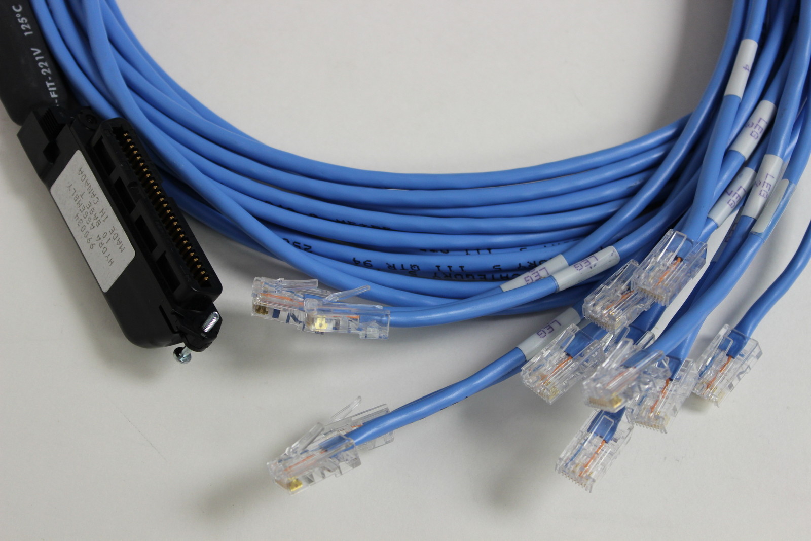 HYDRA CABLE 12 LEGGED RJ45 TO 50 PIN TELCO CONNECTOR 5 FOOT CABLE NEW ...