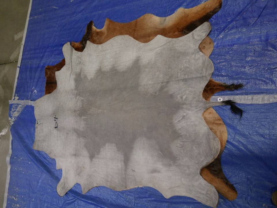 Red Hartebeest skin - African Deer Skin - Deer Hide Rug - Antelope Rug ...