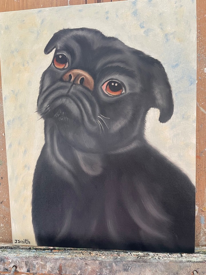 Original oil painting 11 x 14 inches cute black pug Nosed dog | eBay