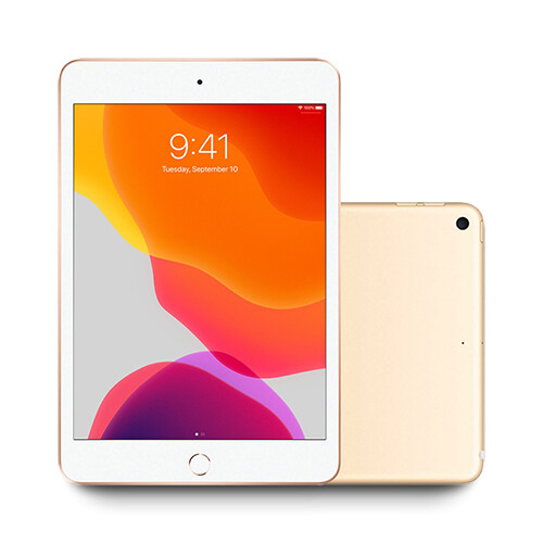 2019 Apple iPad Mini 5 7.9" 64GB WiFi Only (Gold) A2133 - w/1 Year ...