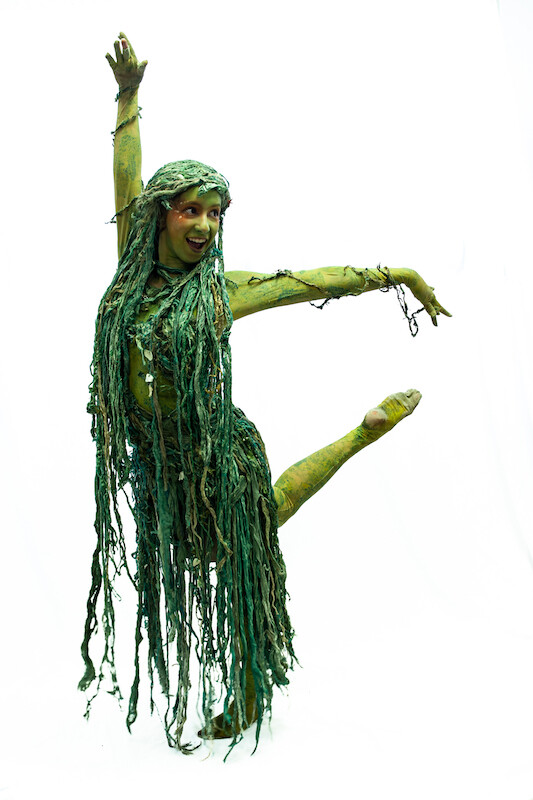 Chronicles of Narnia Movie Used Nymph Costume | eBay