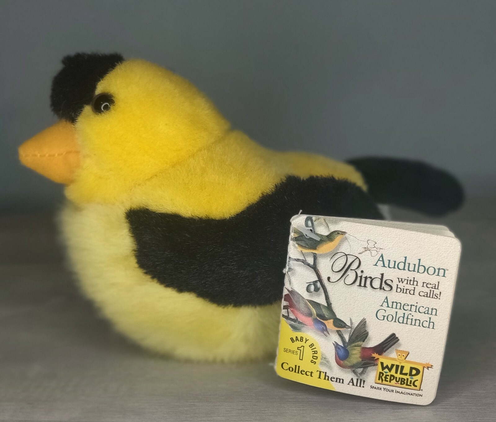 American Goldfinch Baby