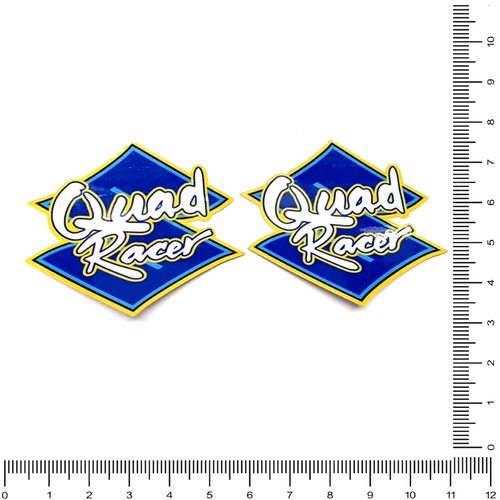 2 LARGE Suzuki Quadracer Stickers LT250R LT500R Quadzilla Quad Racer ...