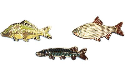 Mirror Carp, Roach & Pike Freshwater Game Fish Angling Pin Angler ...