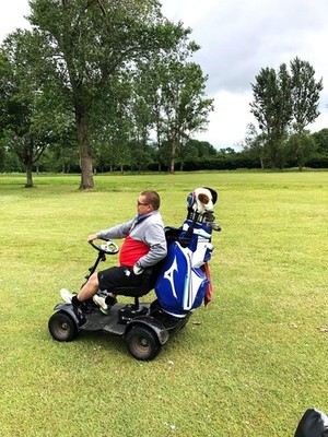 Hillman single seater golf buggy HQ-005 | eBay UK