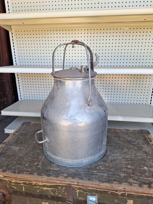 Cattle - Dairy - Stainless Steel Milking Pail