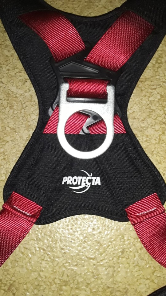 PROTECTA by PRO Body Harness Size M/L | eBay