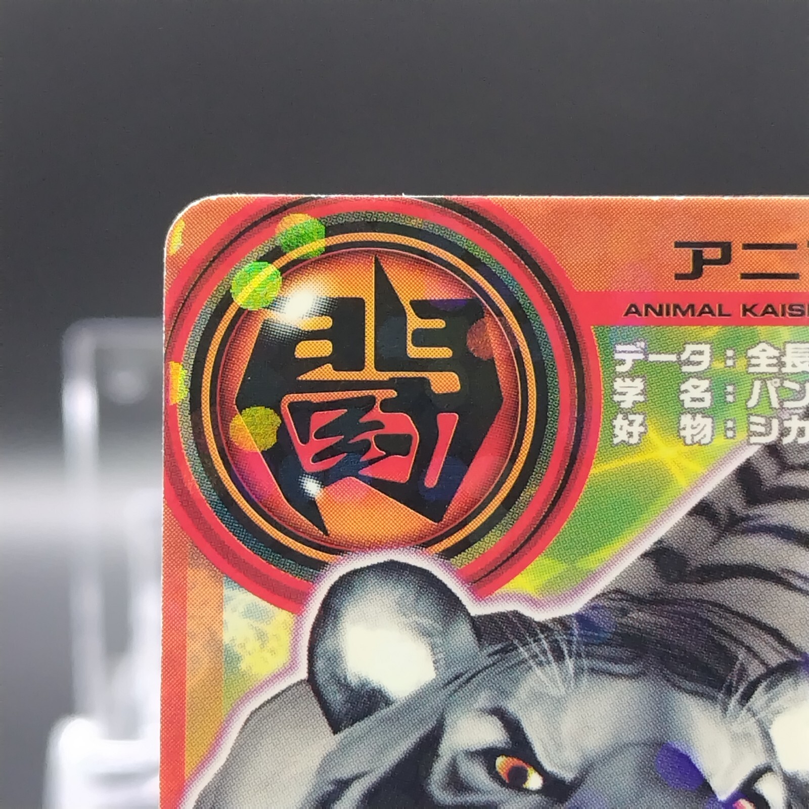 Panthera tigris tigris Animal kaiser Holo Card Japanese 2008 BANDAI ...