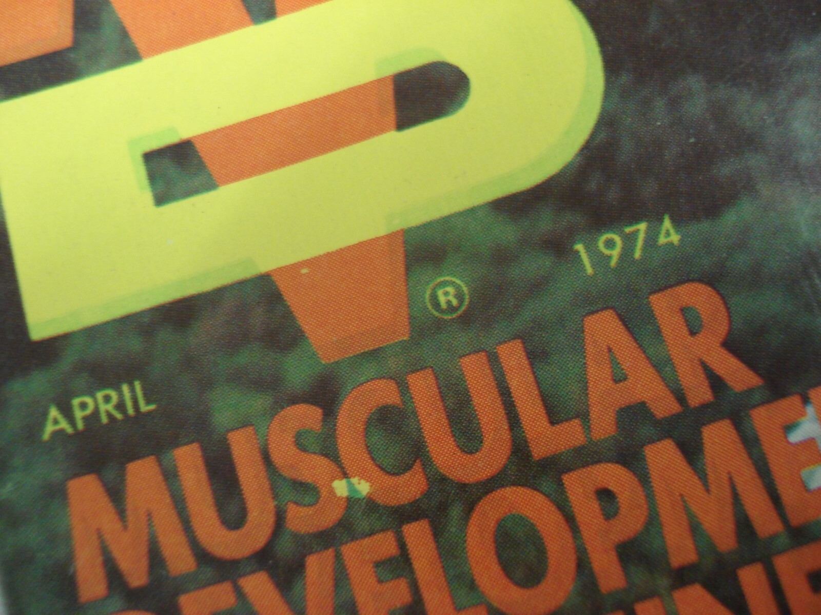 MUSCULAR DEVELOPMENT MAGAZINE APRIL 1974 DENNIS TINERINO COVER | eBay