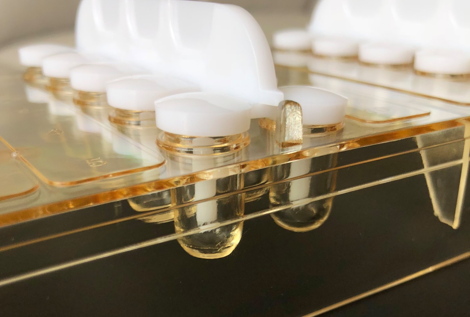 ALLERGY SKIN APPLICATOR FOR PRICK TESTING BOX OF 500, 10-LEGS, CPT ...