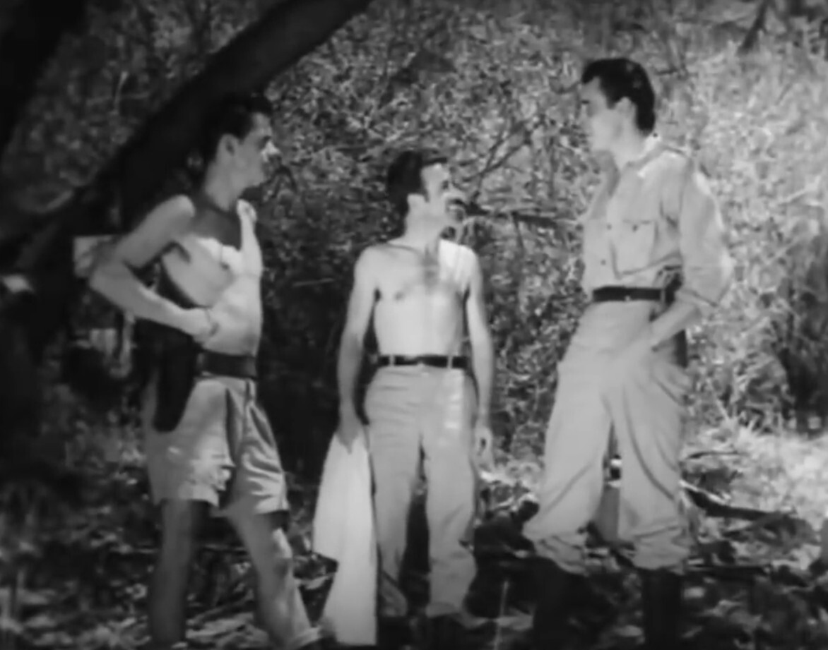 Bowanga, Bowanga-Wild Women of Wongo Dvd | eBay