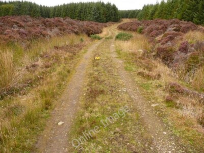 Photo 6x4 Forestry road in Moss of Whilk Mid Clyth This road has been ...