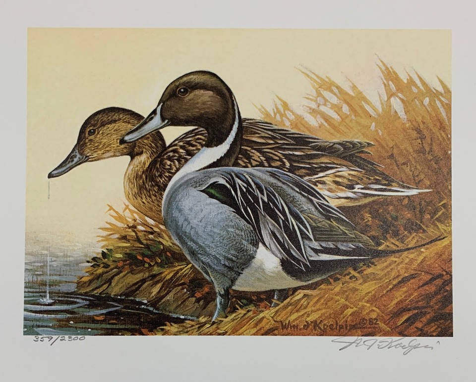 WTDstamps - 1982 WISCONSIN - State Duck Stamp Print **WILLIAM KOELPIN ...