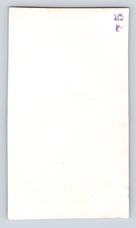 Vintage Photograph Hunter w/ Shot Rabbit Gun Hunting Man Corn Field ...