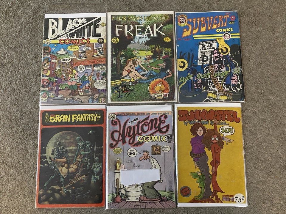 UNDERGROUND COMICS LOT - 28 Bronze Age Comix Alternative Comic Books ...