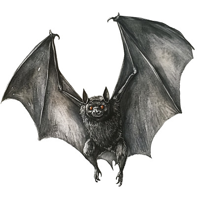 9X9 cm Autoaufklebe Fledermaus Halloween Aufkleber Wetterfester Vinyl ...