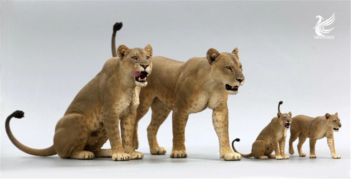 Panthera Leo Krugeri