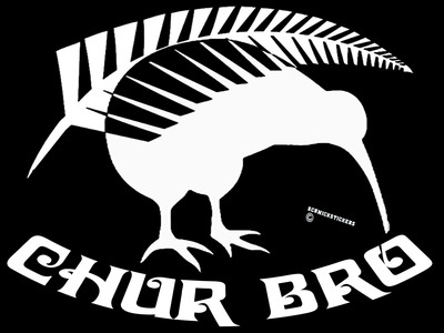 CHUR BRO KIWI STICKER AOTEAROA NEW ZEALAND KIWI WITH FERN STICKER ...