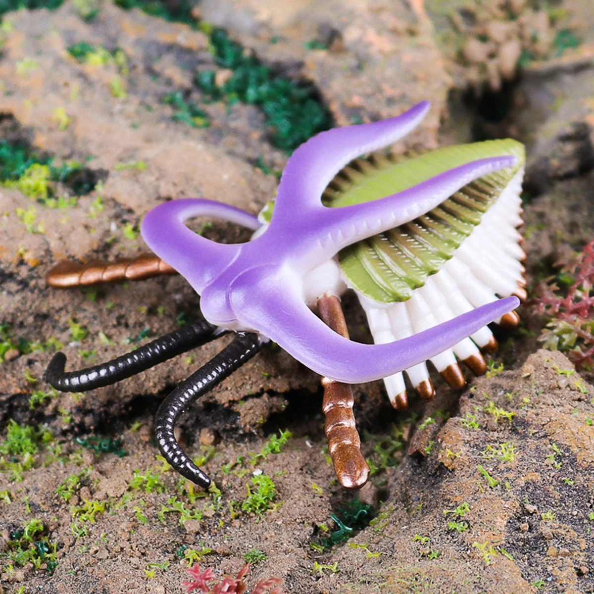 Cambrian Period Animals