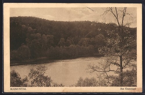 Tarjeta postal Tiefensee / Mark, Blumental, Am Gamensee 1927 | eBay