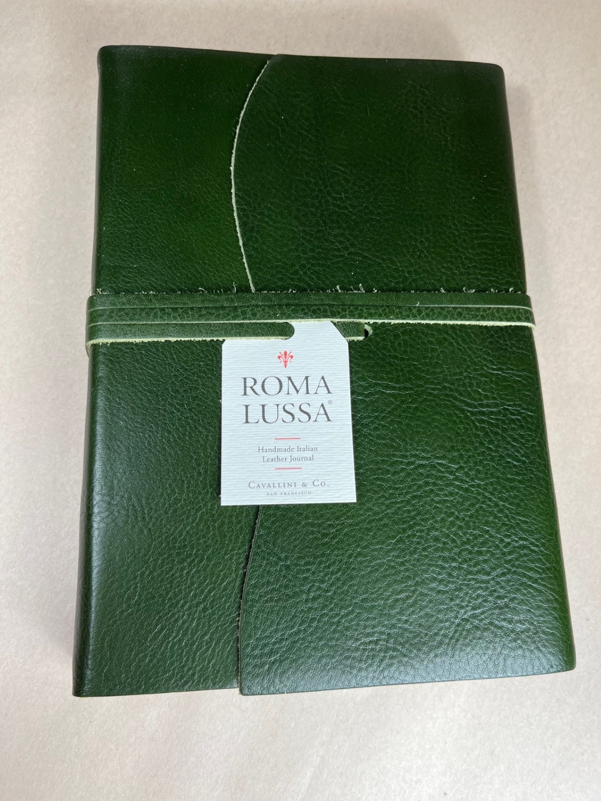 Cavallini & Co. Green Leather Roma Lussa Journal, 6" x 8" | eBay