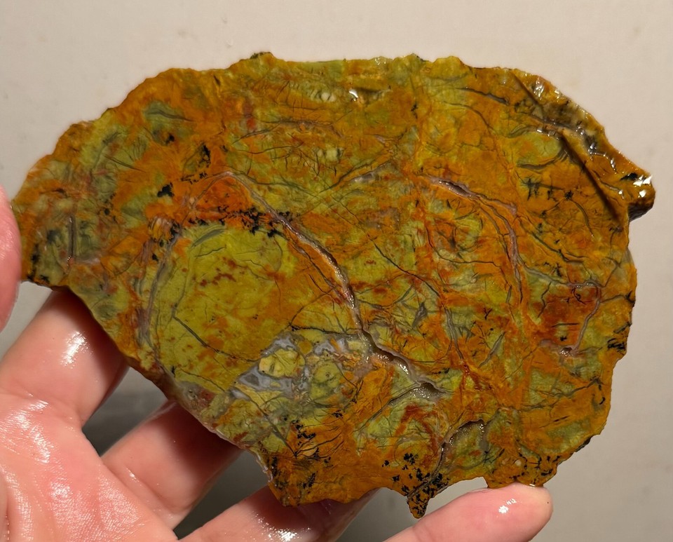Green Dream Jasper Rough Slab! NV | eBay