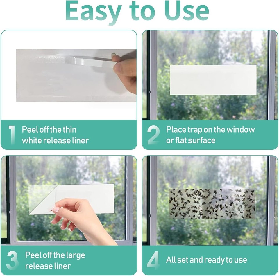 80 Pcs Window Fly Traps for Indoor/Outdoor, Insect, Bugs, & Transparent ...
