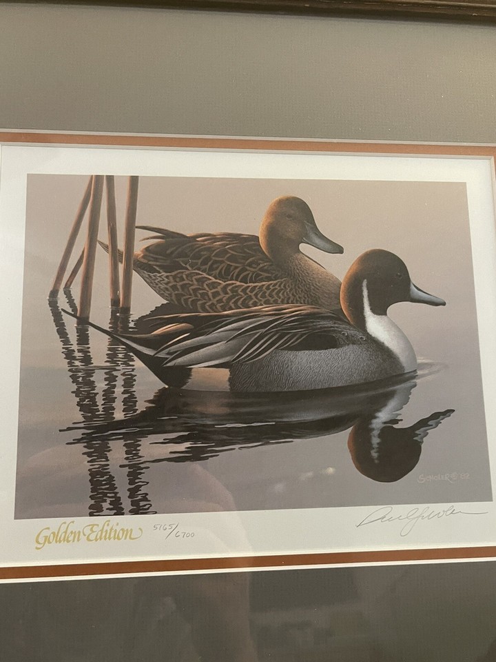 Phil Scholer 1983 Federal Duck Stamp Print Gold Medallion W Double ...