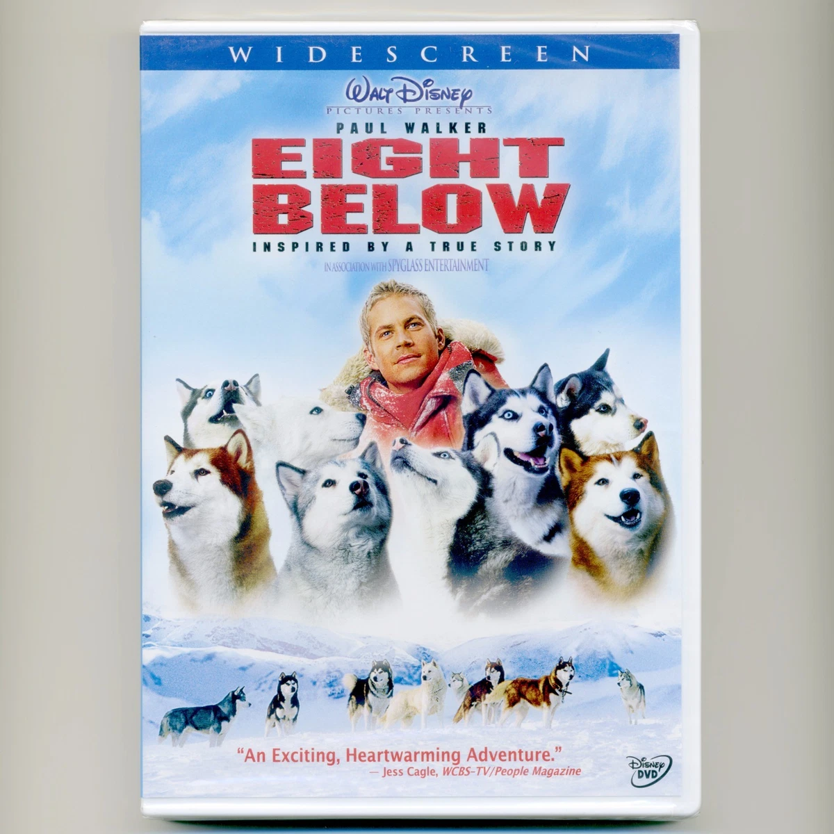 Eight Below Dewey And Truman