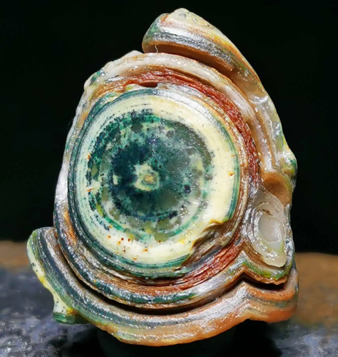 100% Natural Mongolia Gobi Eye Rough Agate Stone Collection Specimen | eBay