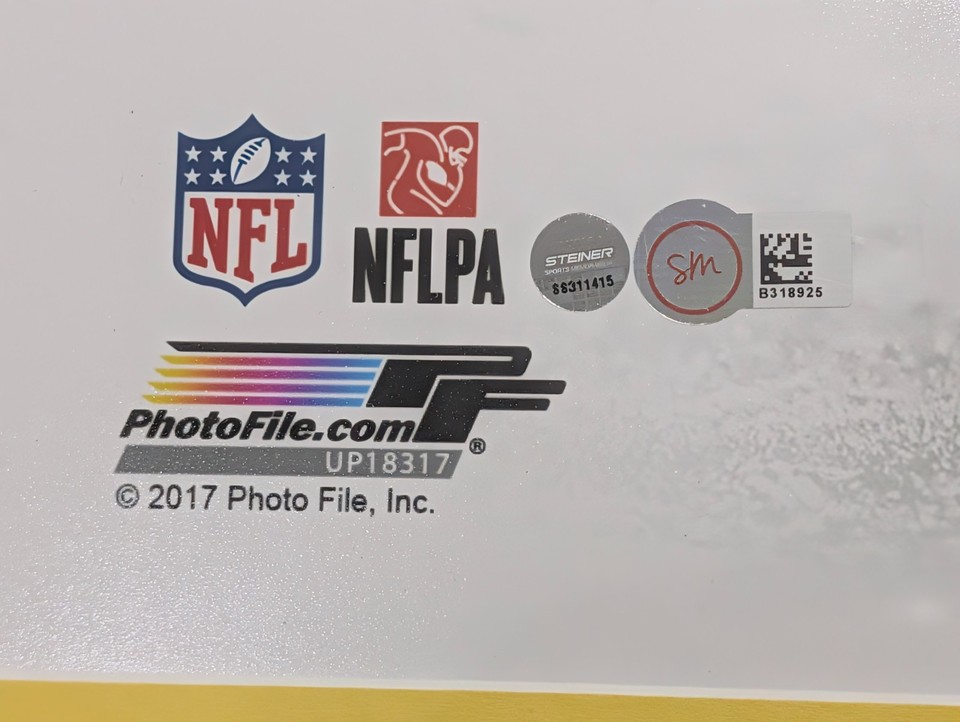 Aaron Rodgers Signed Green Bay Packers 16x20 Framed Football Photo AUTO ...