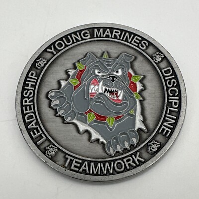 Young US Marine Corps Semper Fidelis Bulldog Challenge Coin Honor ...