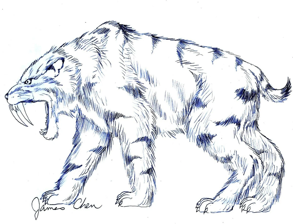 Saber Tooth Tiger Coloring