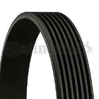 Original Continental CTAM V-Ribbed Belt 7PK2061 for Honda Infiniti ...