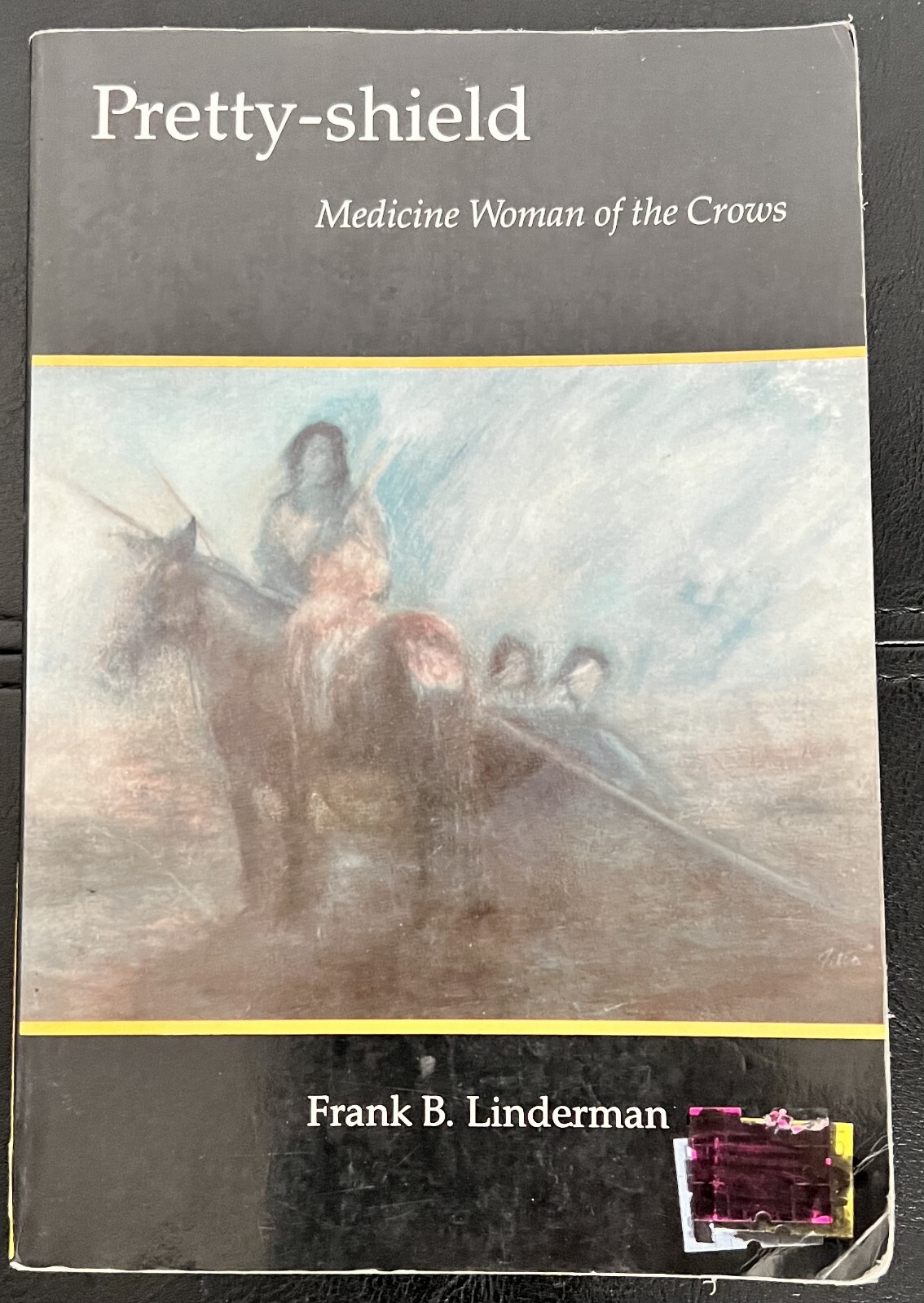 Pretty-shield: Medicine Woman of the Crows 9780803280250| eBay