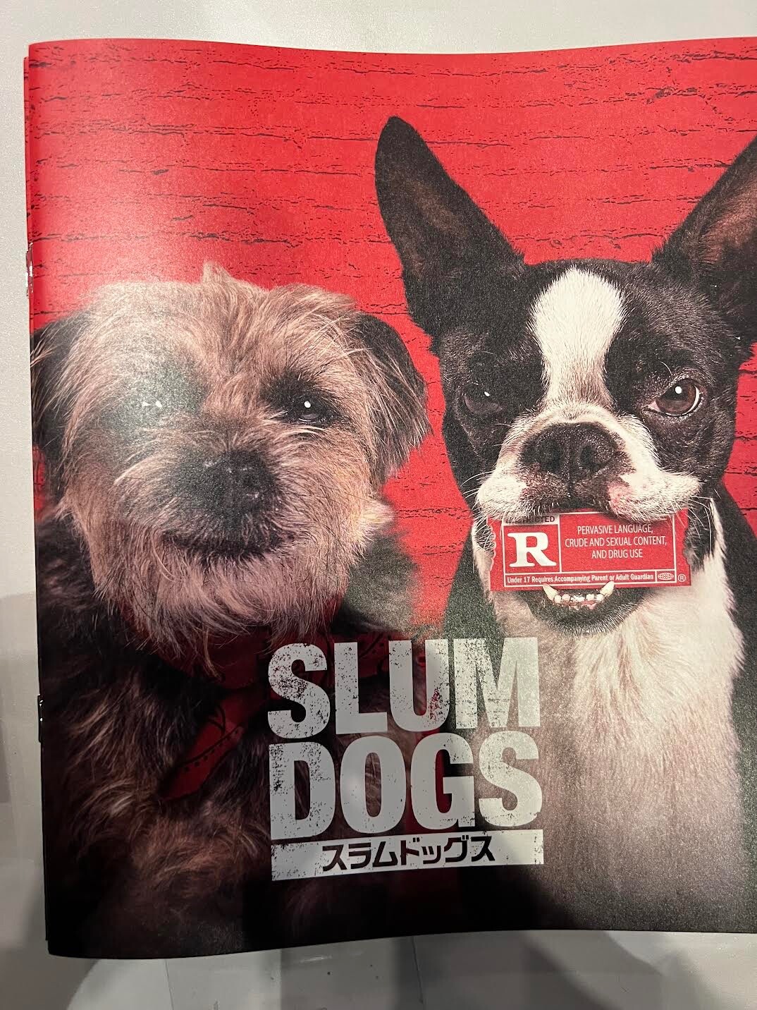 Mini Movie Poster-Strays (2023) Will Ferrell ,Jamie Foxx,Isla Fisher | eBay