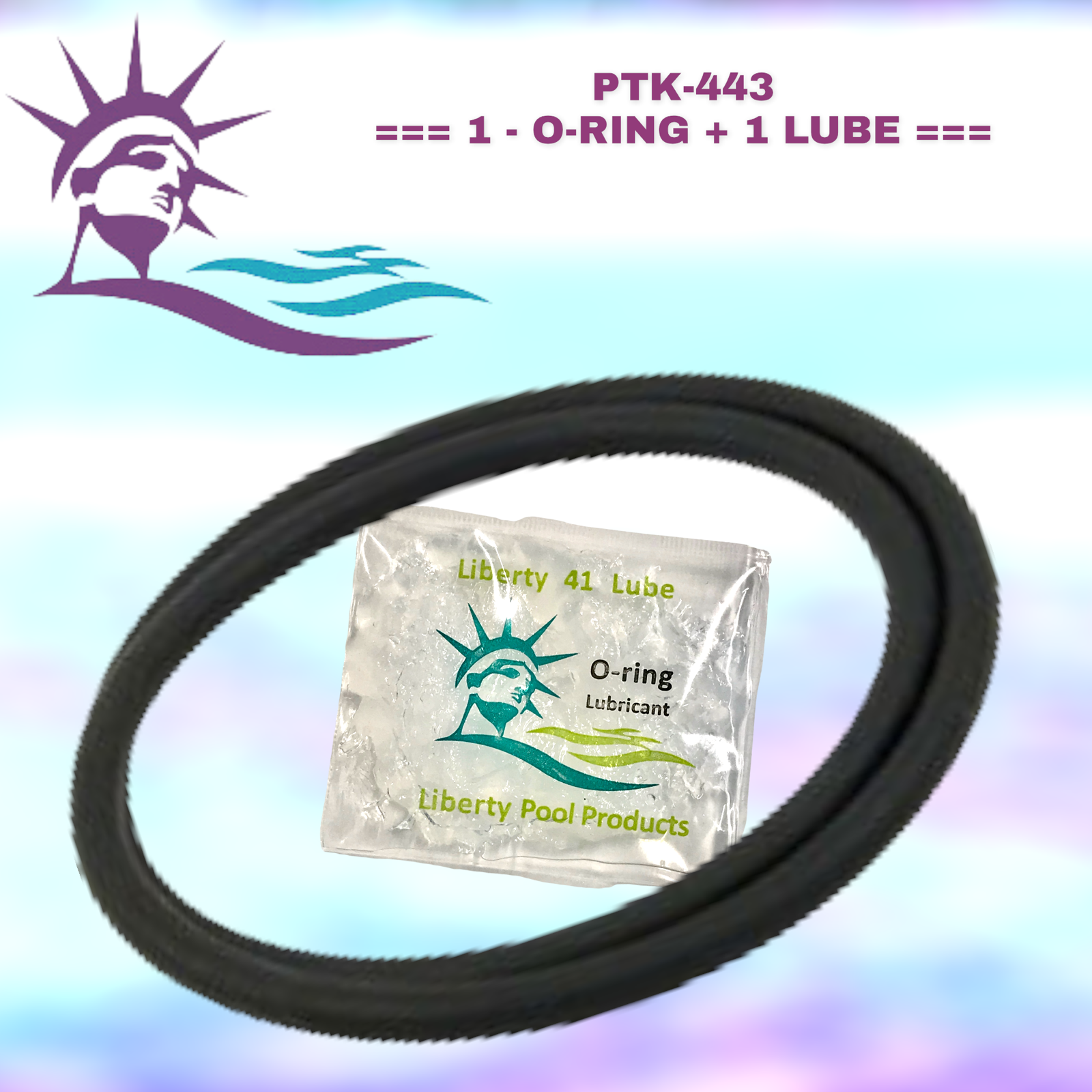 Pentair U9-301 Upper Tank Body O-Ring for Sta-Rite Posi-Flo Pool or Spa ...