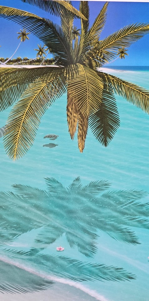 Dan Mackin First Swimmer Sea Turtle Art Hand Signed Lithograph 236/275 ...