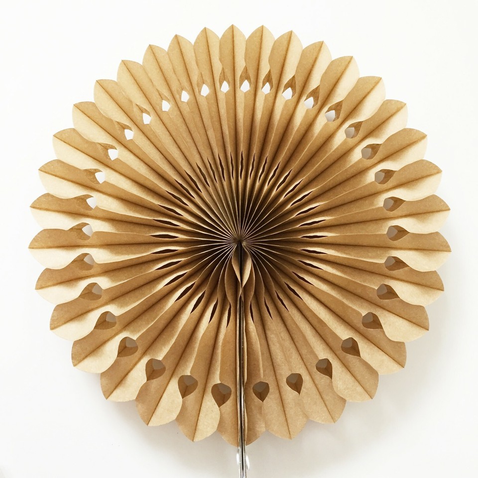 Tissue Paper Flower Hanging Fan Wedding Birthday Garland Party Decor ...