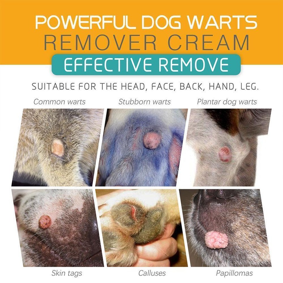 Natural Dog Wart Remover Dog Skin Tags, Dog Wart Removal Treatment F8T3 ...