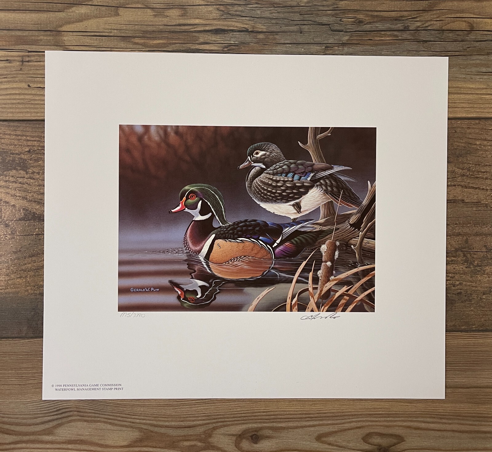 1998 PENNSYLVANIA - State Duck Stamp Print **GERALD PUTT** Tiny Indents ...