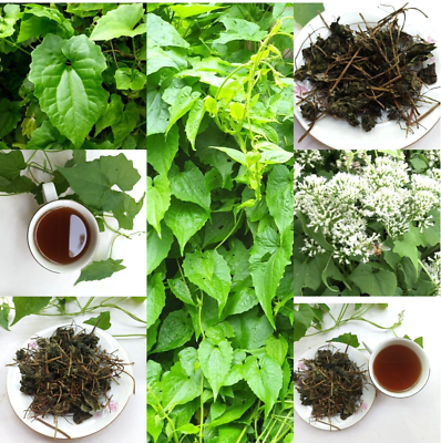 Dried Jamaican Guaco leaf,Roots micrantha Mikania Wildcrafted 100% ...