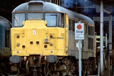 PHOTO CLASS 31 LOCO NO 31102 AT TINSLEY DEPOT 1988 | eBay